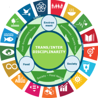 Combined insights stimulate sustainable food production in deltas under ...