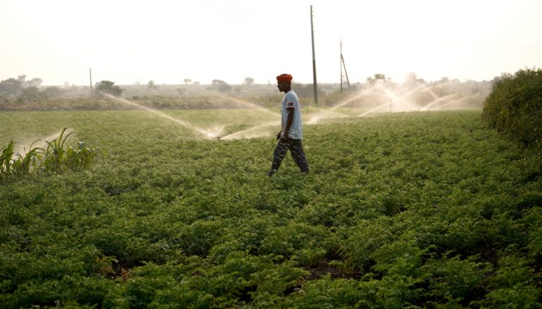 The potential of water conservation in irrigated agriculture - Food ...