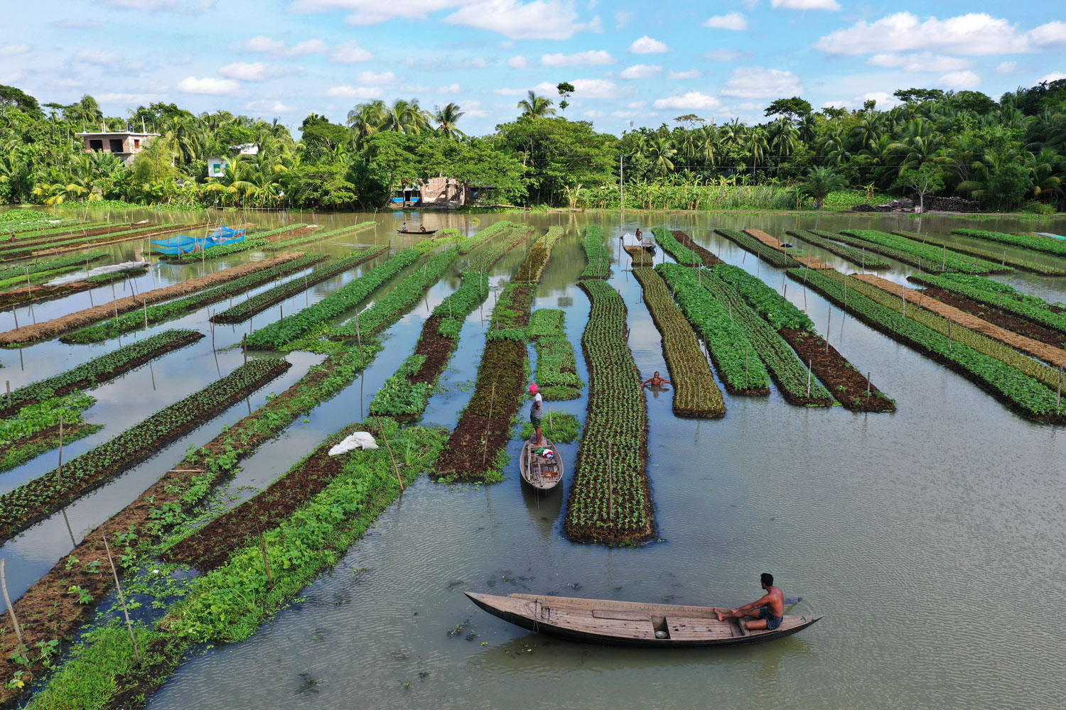 ‘Water for food requires collaboration’ - Food security