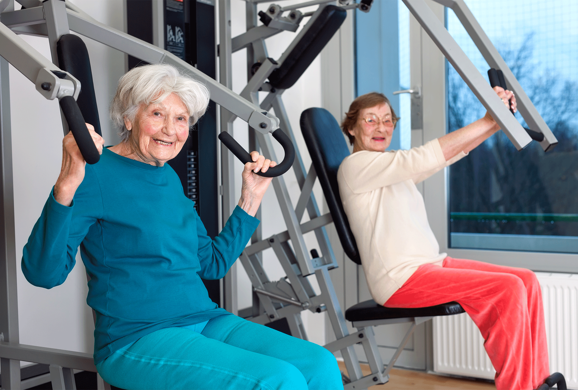 Strength Training And Protein A Powerful Combination For Older People
