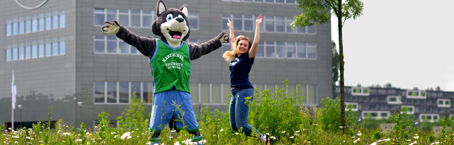 Studying in the Netherlands: my experience - International Students Blog