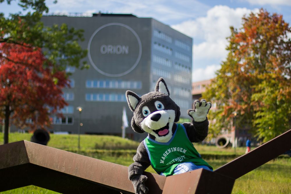 4 Things You Should Know Before You Apply to WUR - International ...