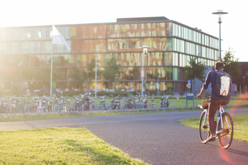 My experience studying in the Netherlands - International Students Blog