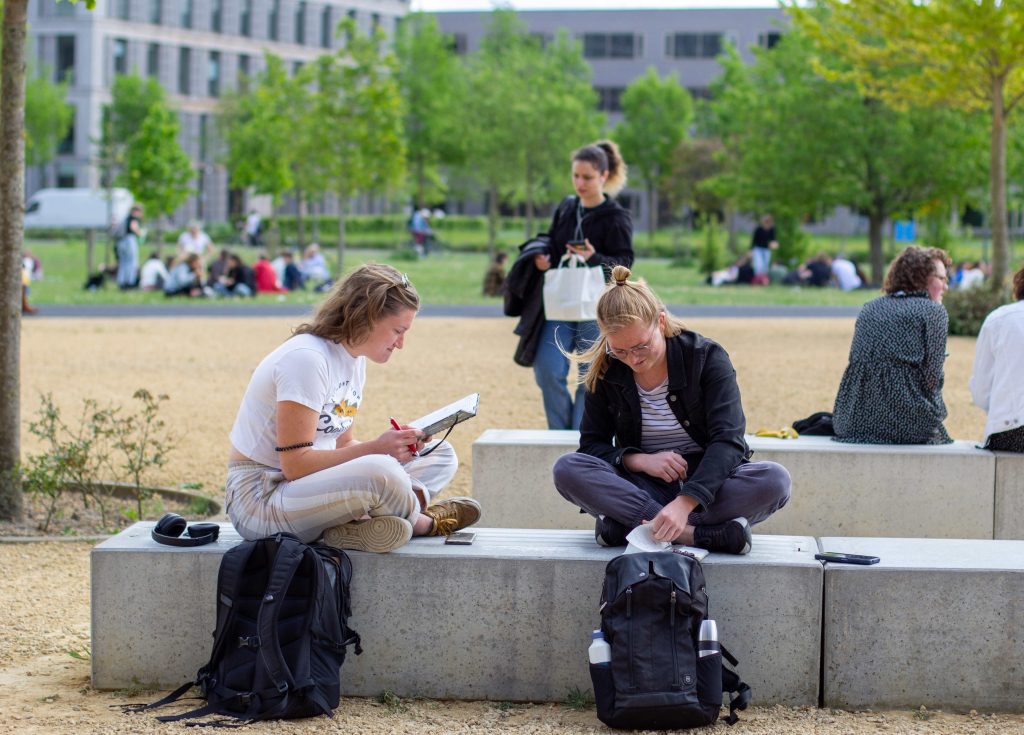 Key elements for a successful study - International Students Blog