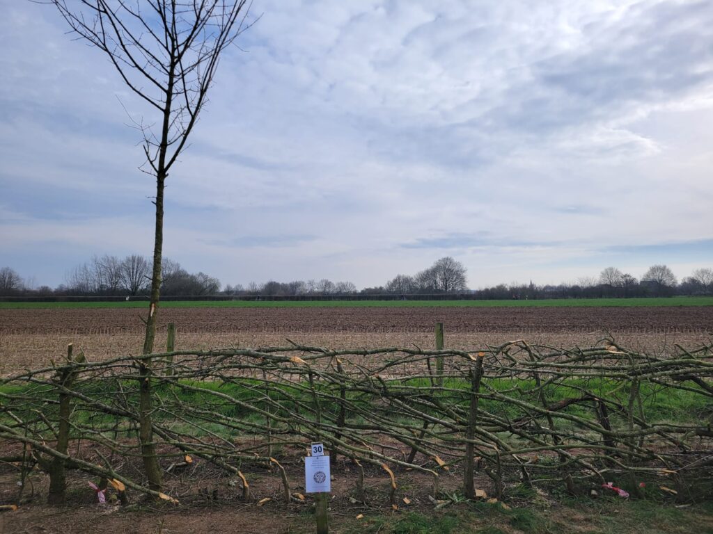 WUR's Most Unique and Crazy Competitions - International Students Blog