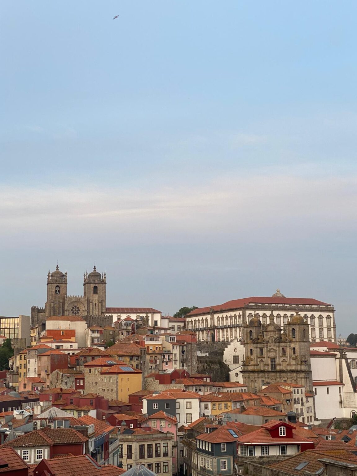 My Experience at the WUR European Workshop in Porto - International Students Blog