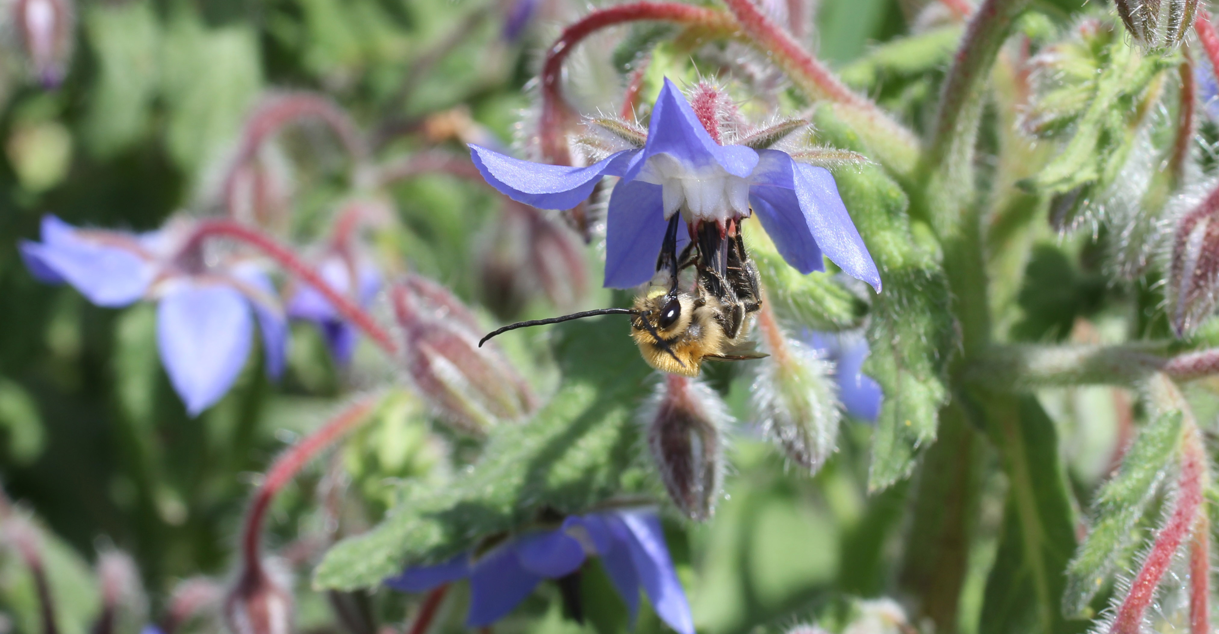 Large-scale collaboration on nature restoration - Spotlight