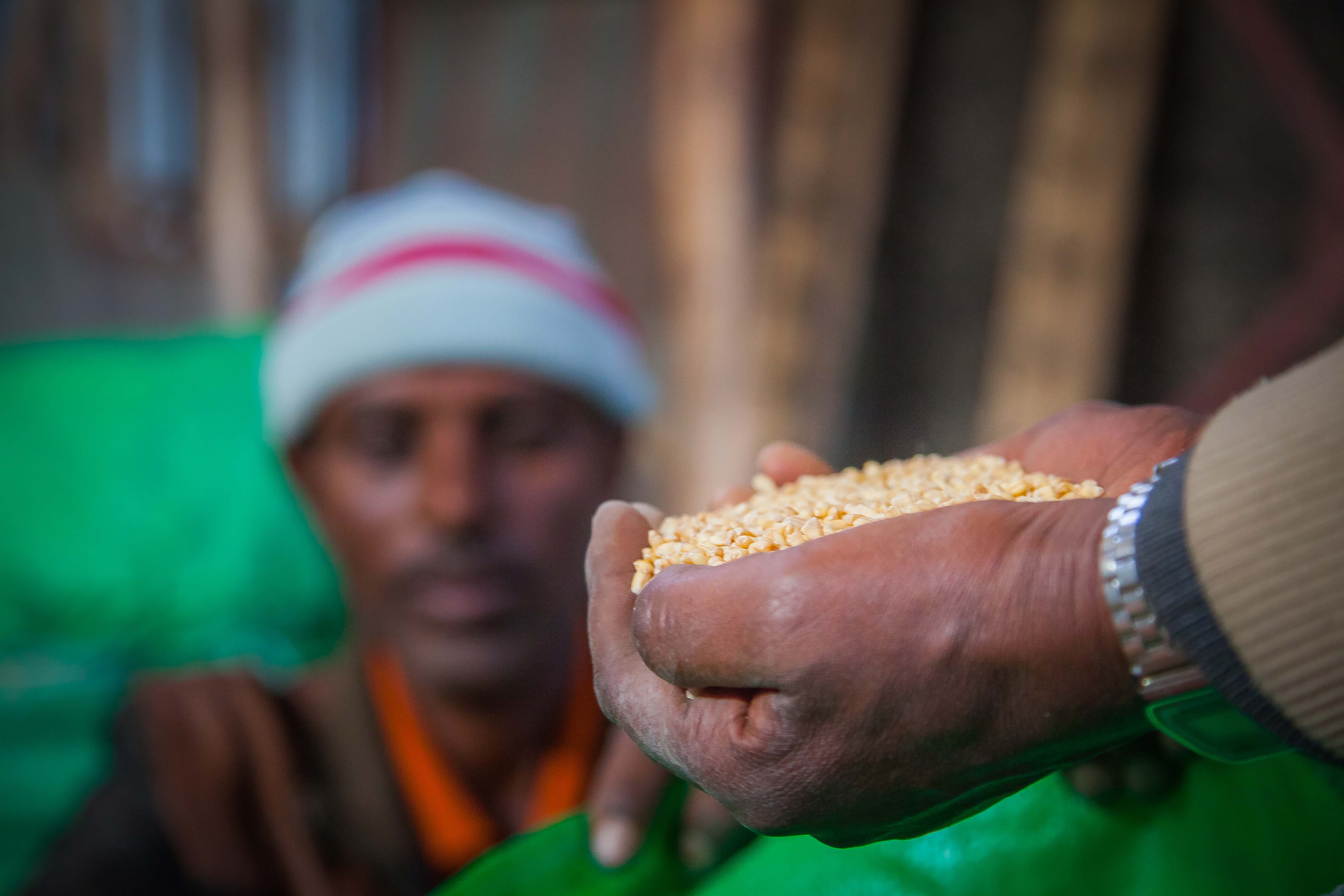 Seeds for Africa - Spotlight