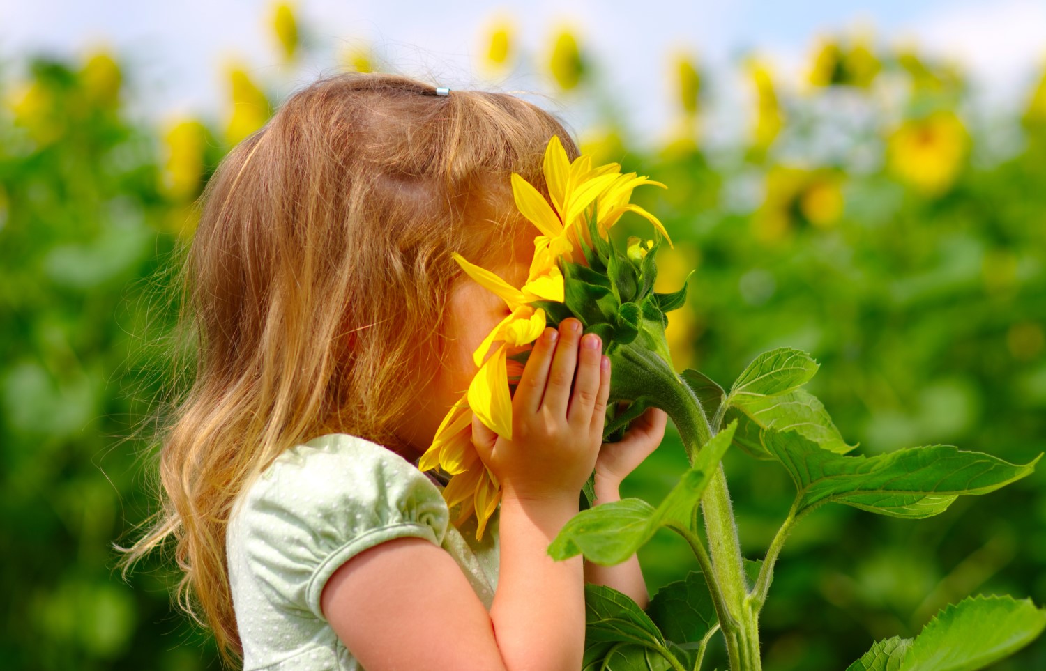 Loss of taste and smell due to corona - Spotlight