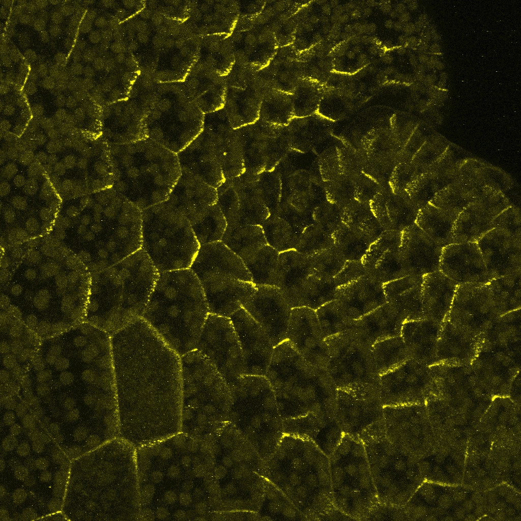 Art as inspiration for science - Spotlight